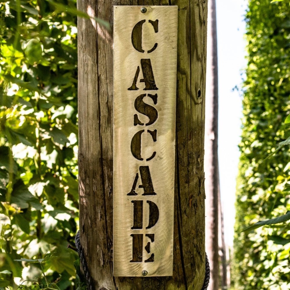 Cascade Hops | Four Star Farms, Inc.